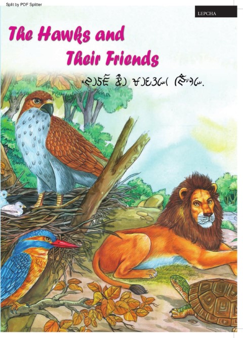 NLCLMB - CIIL | The world of Stories | The Hawks and their Friends