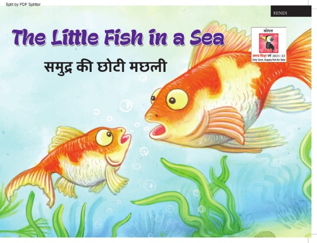 The Little Fish in a Sea | NLCLMB - CIIL | The world of Stories